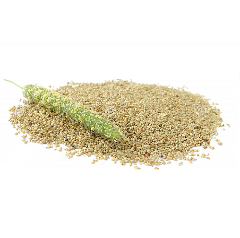 Timothy grass seed – 1kg | BelFarm